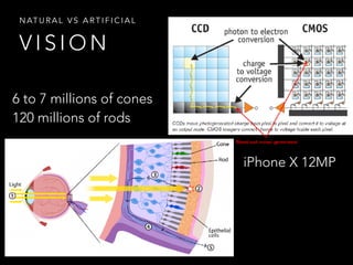 Core ML and Computer Vision | PPT