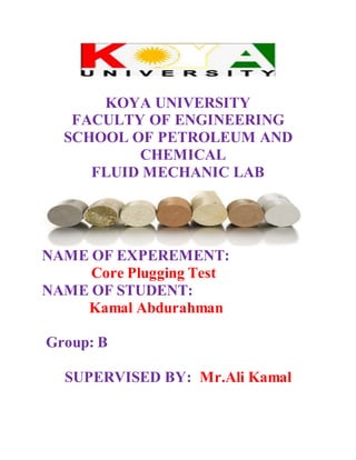 Core plugging test | DOCX