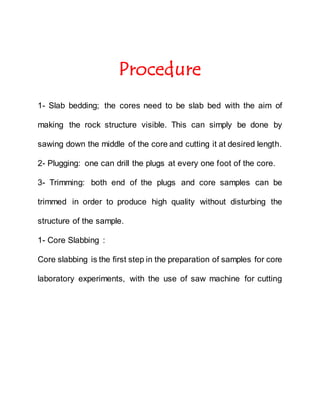 Core plugging test | DOCX