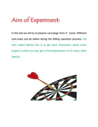 Core plugging test | DOCX