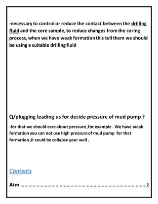 Core plugging test | DOCX