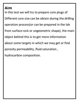 Core plugging test | DOCX