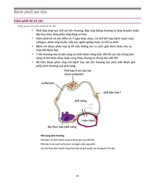 Core_Radiology_A_Visual_Approach_to_Diagnostic_Imaging_914trangvi (1).pdf