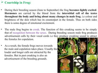 Comprehensive Study of Courtship and Mating Behaviour in Animals | PPTX