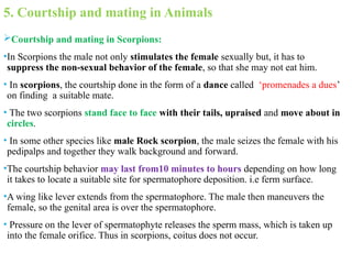 Comprehensive Study of Courtship and Mating Behaviour in Animals | PPTX
