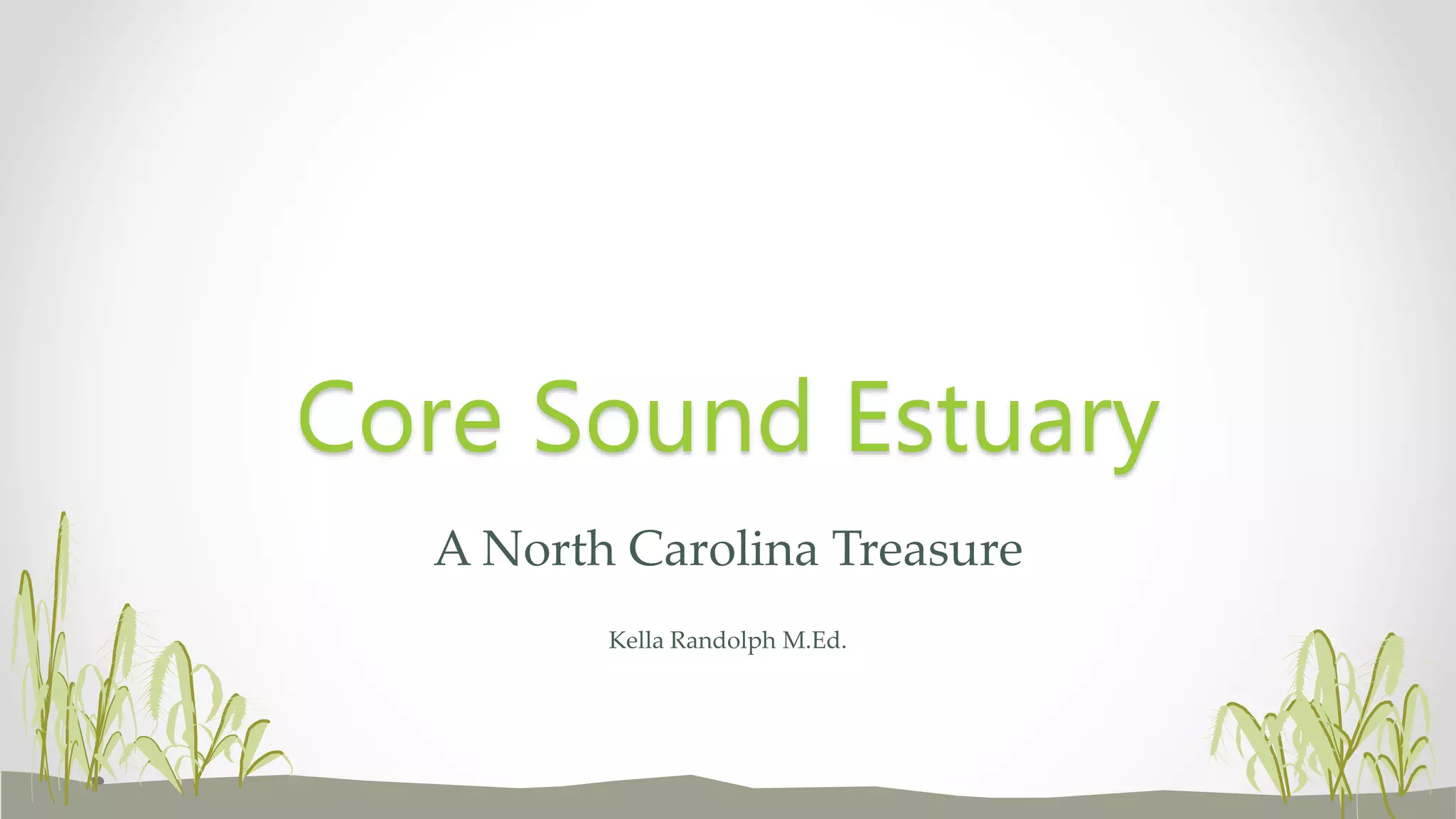 Core sound estuary1 | PPT