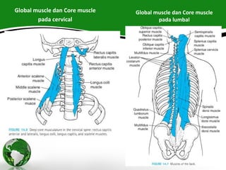 Core Stability Exercise | PDF