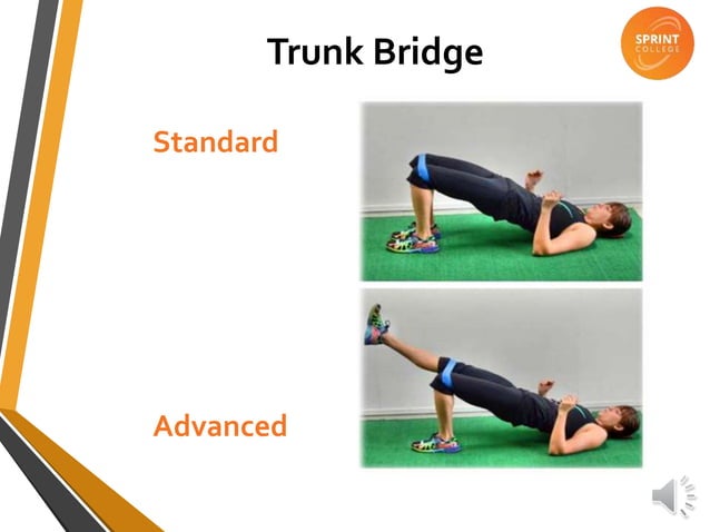 Core Stability And Exercises | PPTX | Physical Therapy | Wellness