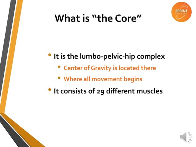 Core Stability And Exercises | PPTX | Physical Therapy | Wellness