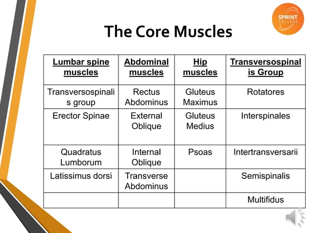 Core Stability And Exercises | PPTX | Physical Therapy | Wellness