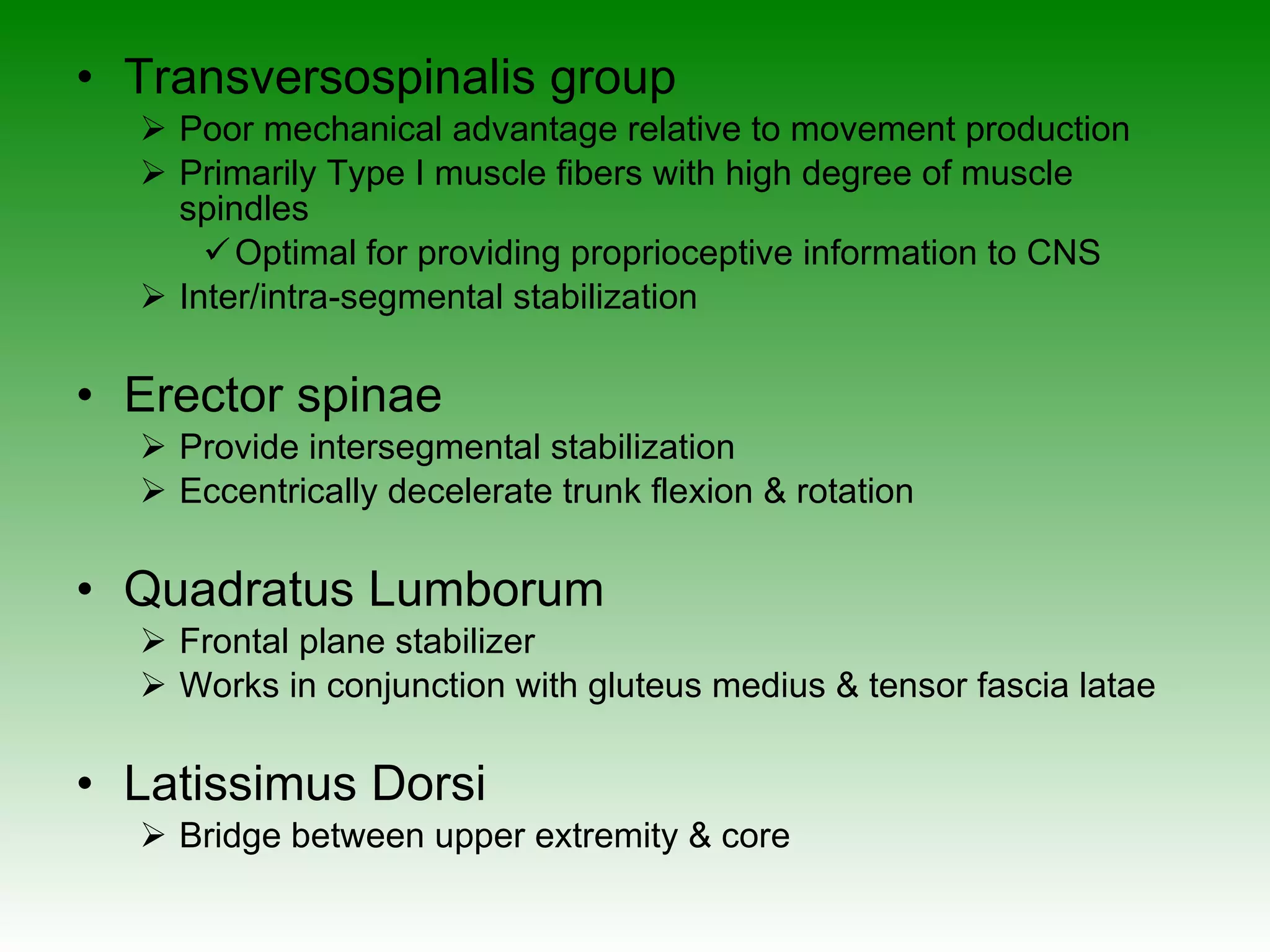 Core stabilization | PPT