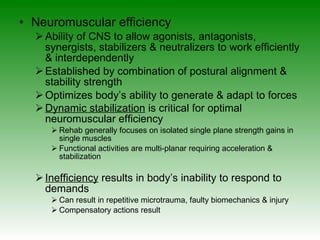 Core stabilization | PPT