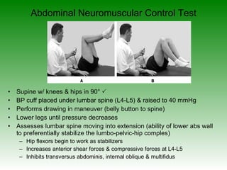 Core stabilization | PPT