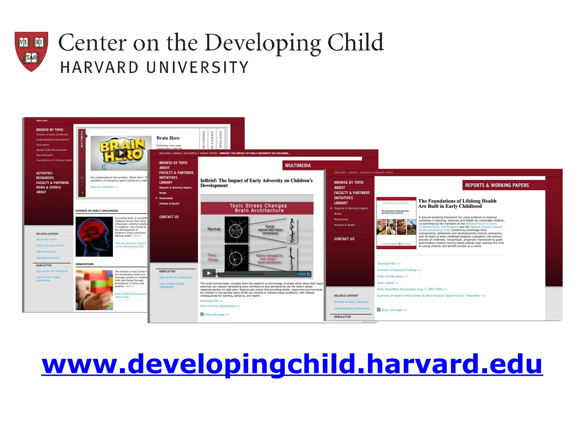 The Science of Early Childhood Development | PPTX