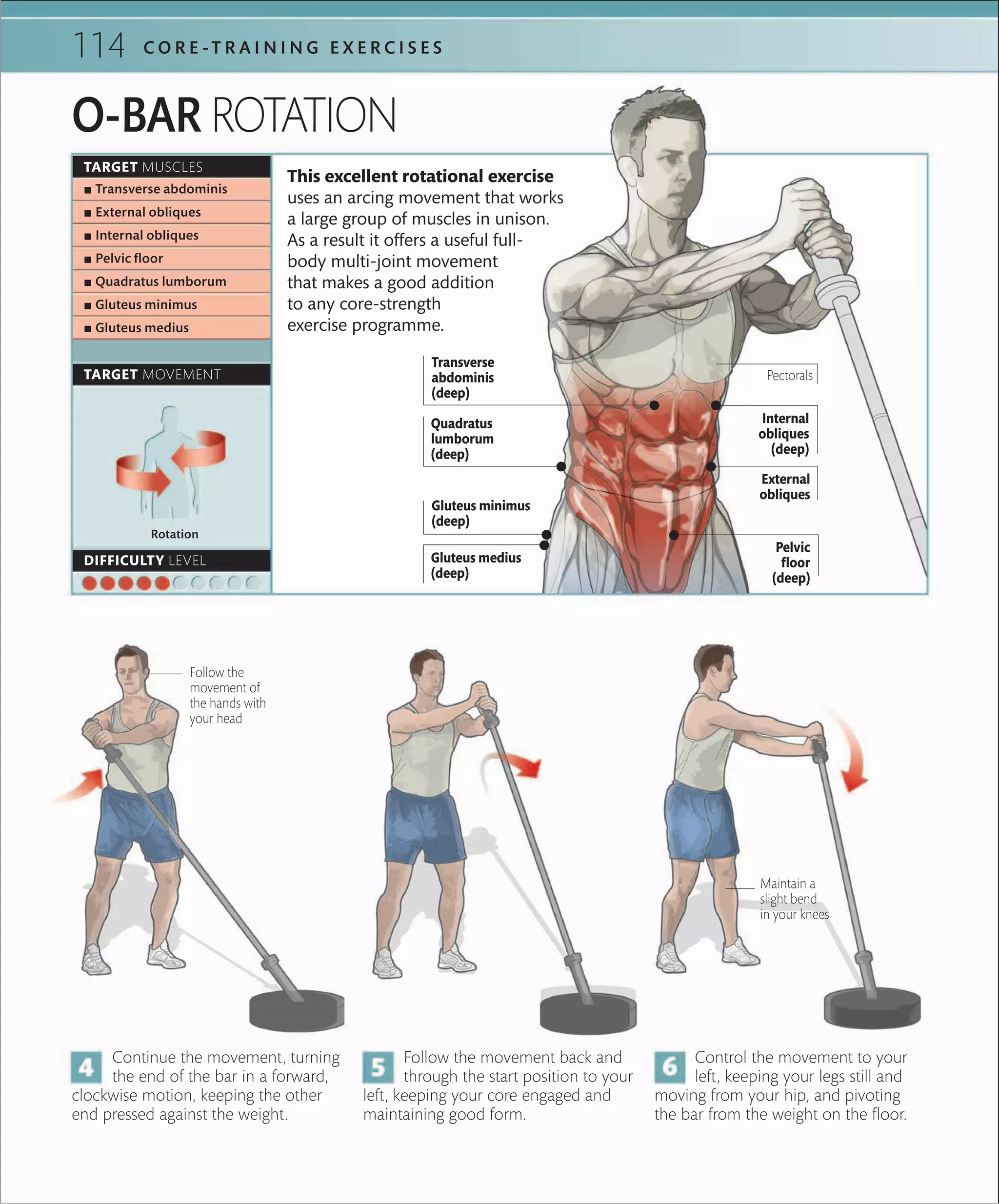Core strength training | PDF