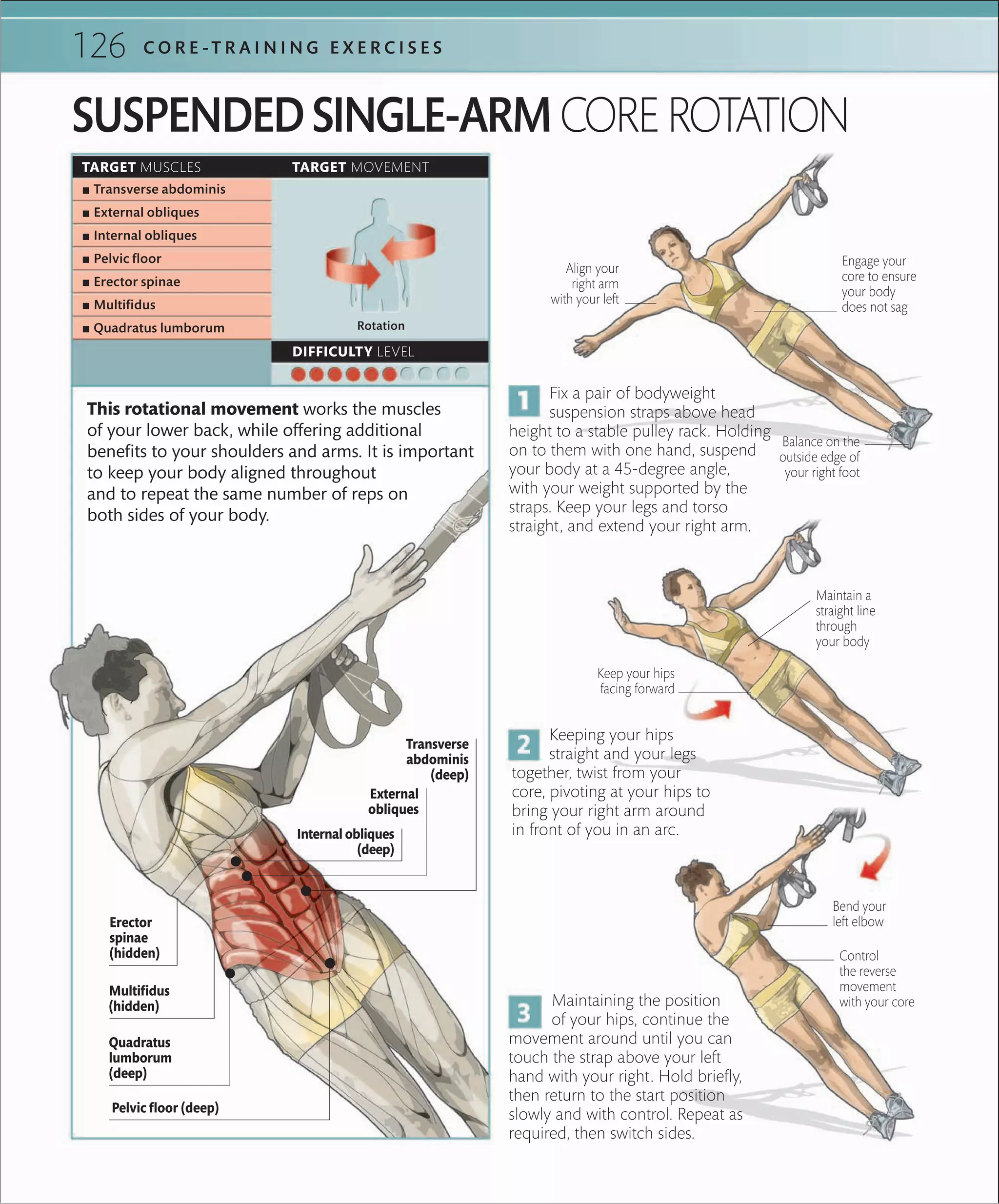 Core strength training | PDF