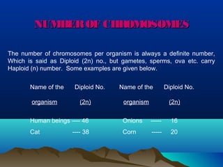 Core sub bio_att_47chromosomes | PPT