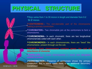 Core sub bio_att_47chromosomes | PPT
