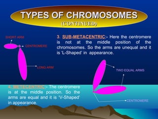 Core sub bio_att_47chromosomes | PPT