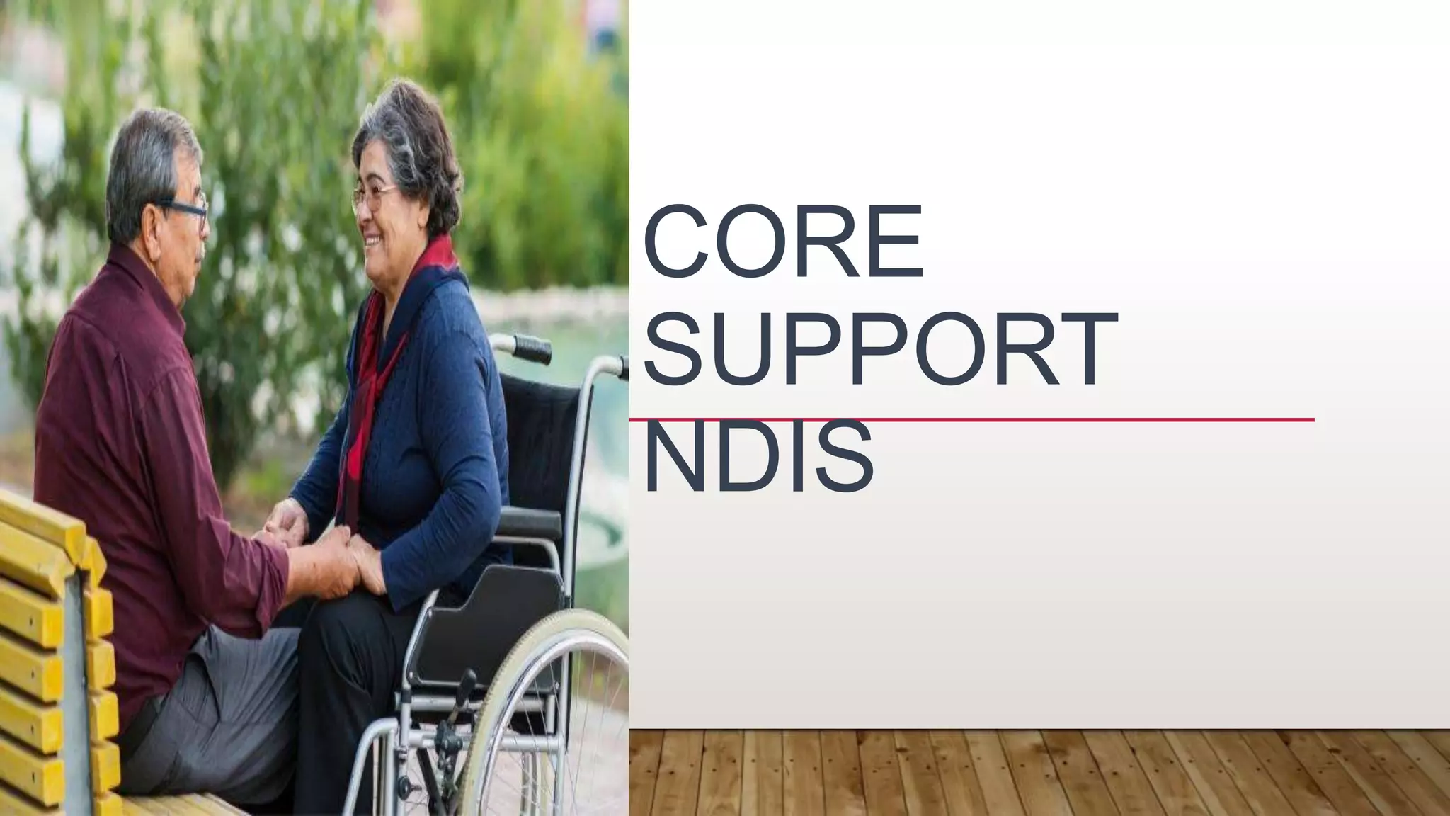 Core Support NDIS.pptx