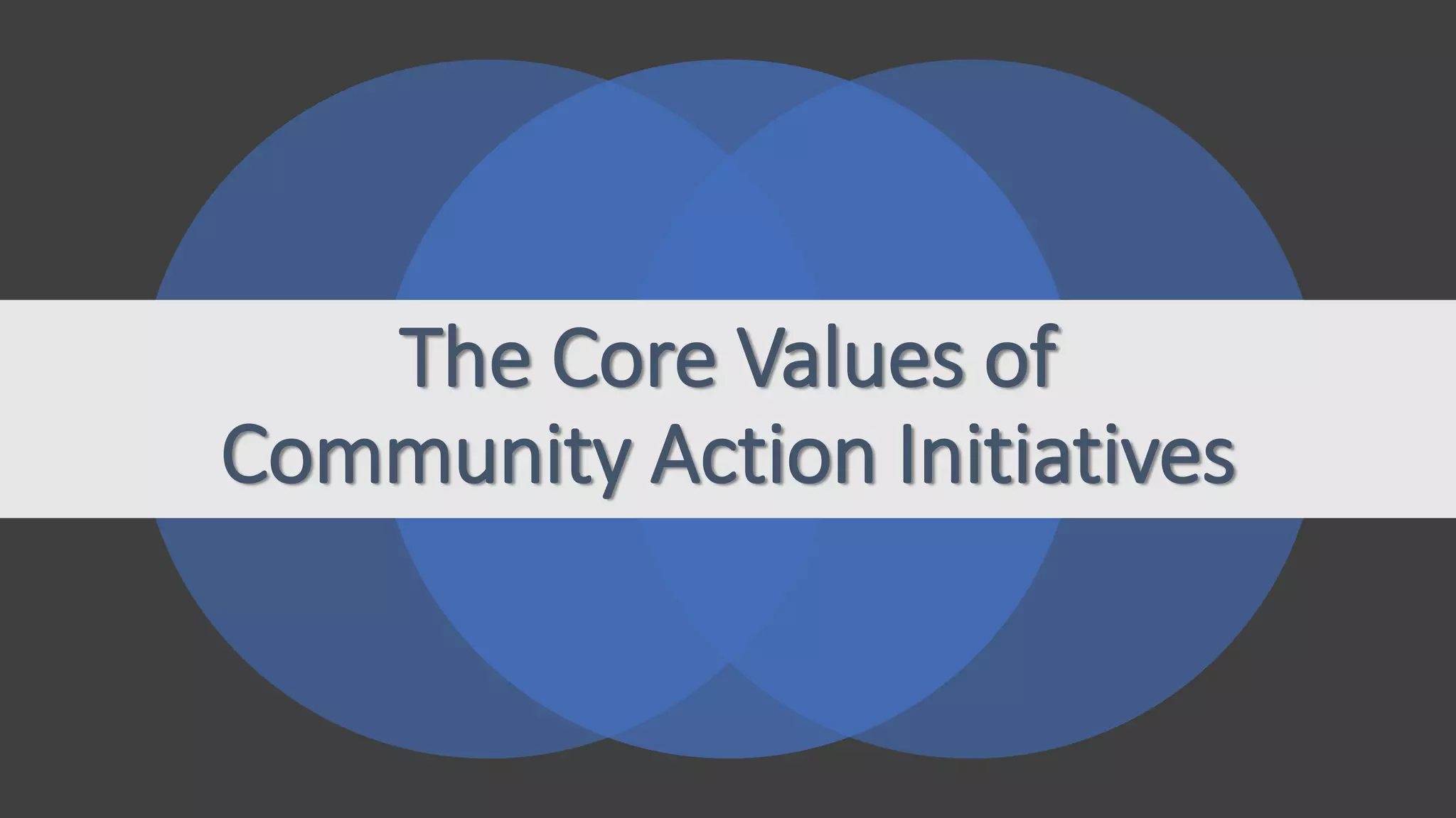 Core Values and Principles of Community Action Initiatives.pdf