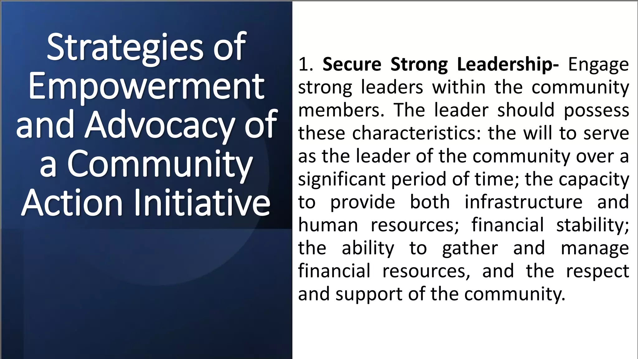 Core Values and Principles of Community Action Initiatives.pdf