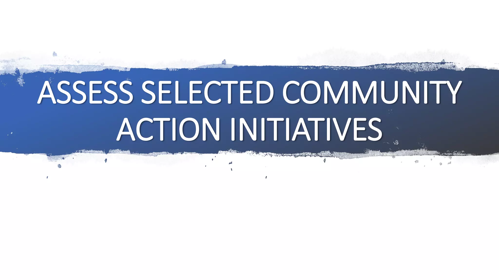 Core Values and Principles of Community Action Initiatives.pdf