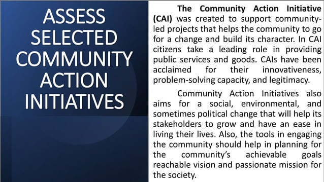 Core Values and Principles of Community Action Initiatives.pdf | Family ...