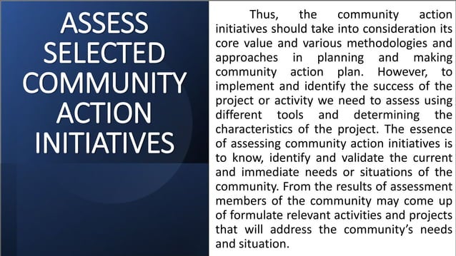 Core Values and Principles of Community Action Initiatives.pdf | Family ...