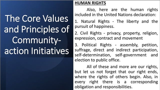 Core Values and Principles of Community Action Initiatives.pdf | Family ...