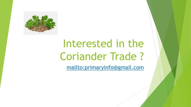Coriander | PDF