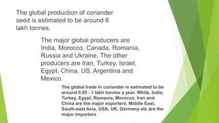 Coriander | PDF