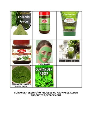 Coriander Production and Processing Technology | DOCX