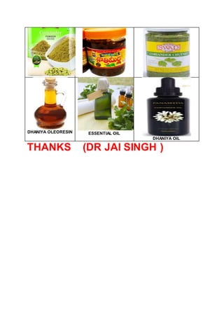 Coriander Production and Processing Technology | DOCX