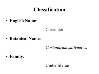 Coriander | PPT