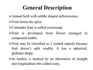 Coriander | PPT