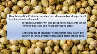 health benefits of Coriander | PPTX