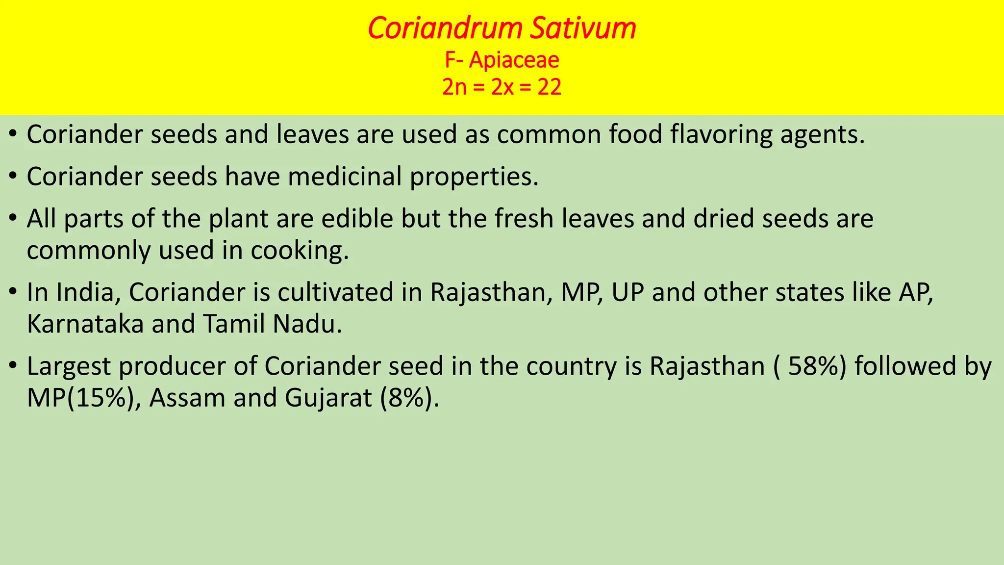 Coriander.pptx