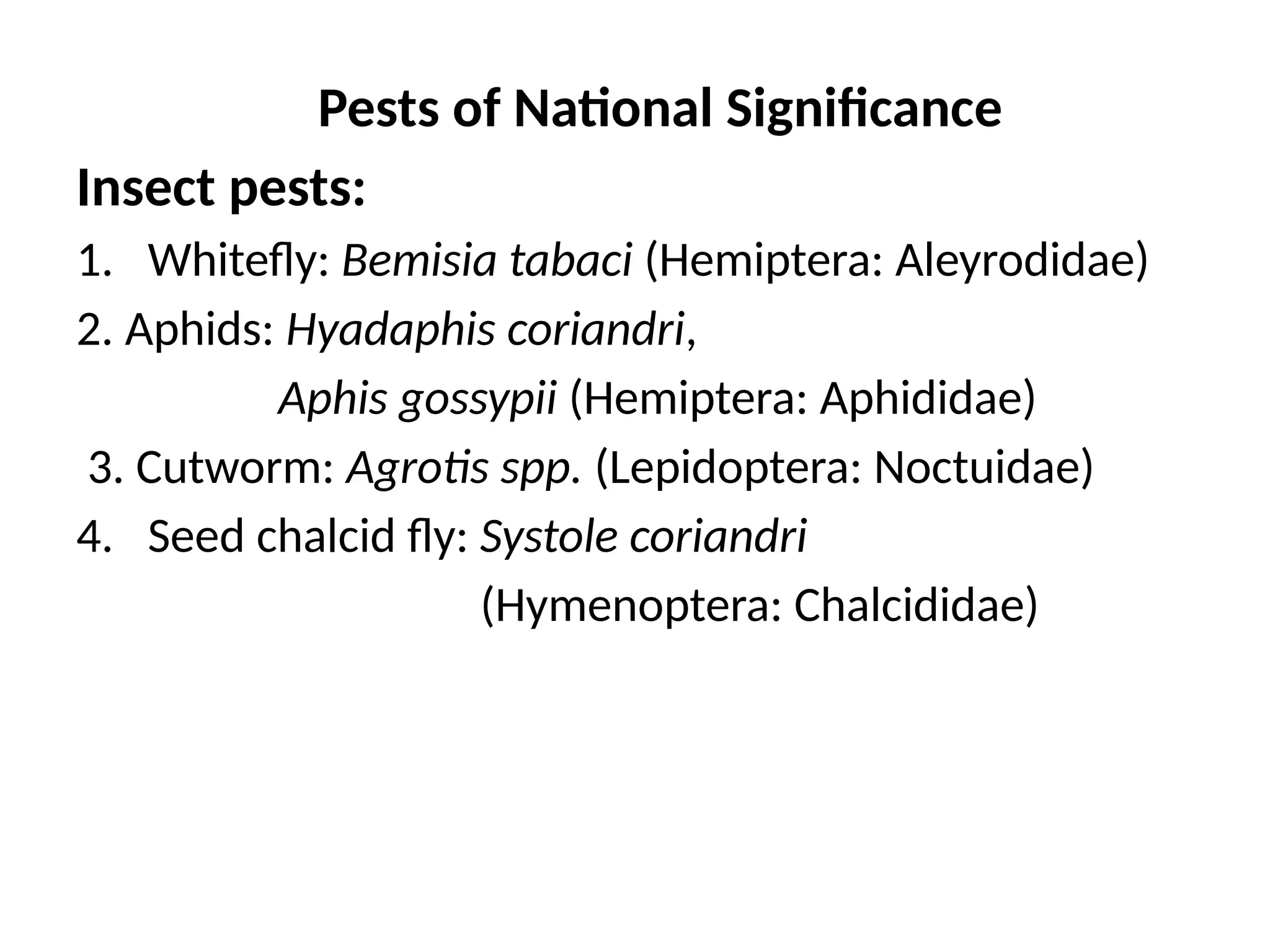 Coriander pests powerpoint presentation.pptx