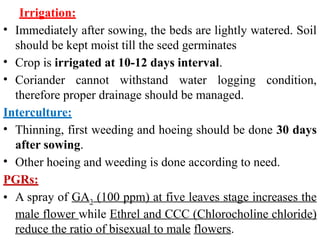 Cultivation Practice of Coriander in Nepal.pptx
