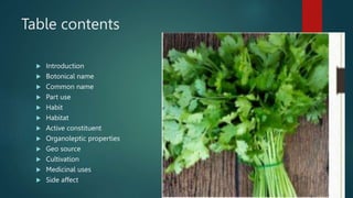 coriander by pharma cognosy student's . | PPTX