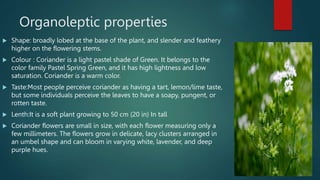 coriander by pharma cognosy student's . | PPTX