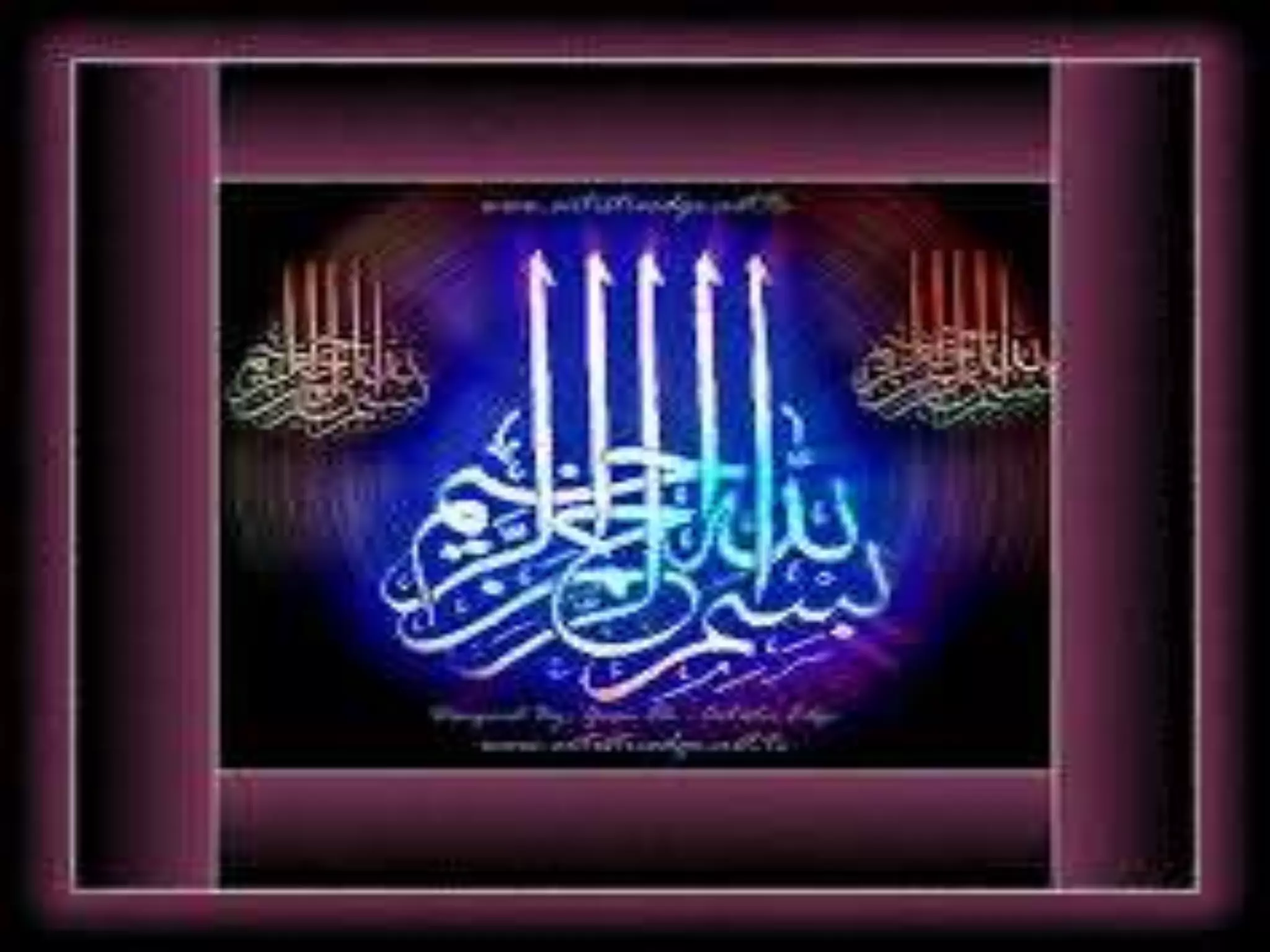 Coriander insects A Lecture By Allah Dad Khan Provincial Coordinator ...