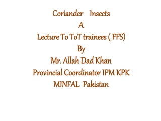 Coriander insects A Lecture By Allah Dad Khan Provincial Coordinator ...