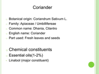 Coriandrum sativum (Coriander) | PPTX