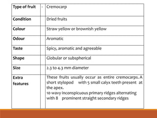 Coriandrum sativum new | PPT
