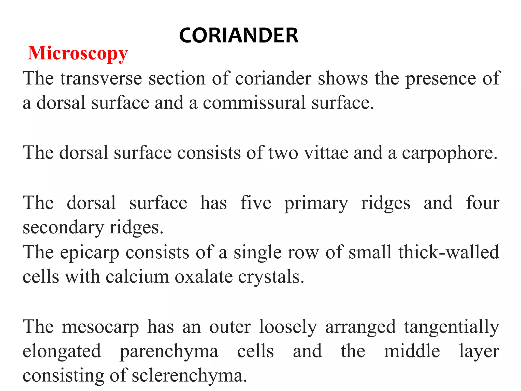 Coriandrum sativum new | PPTX