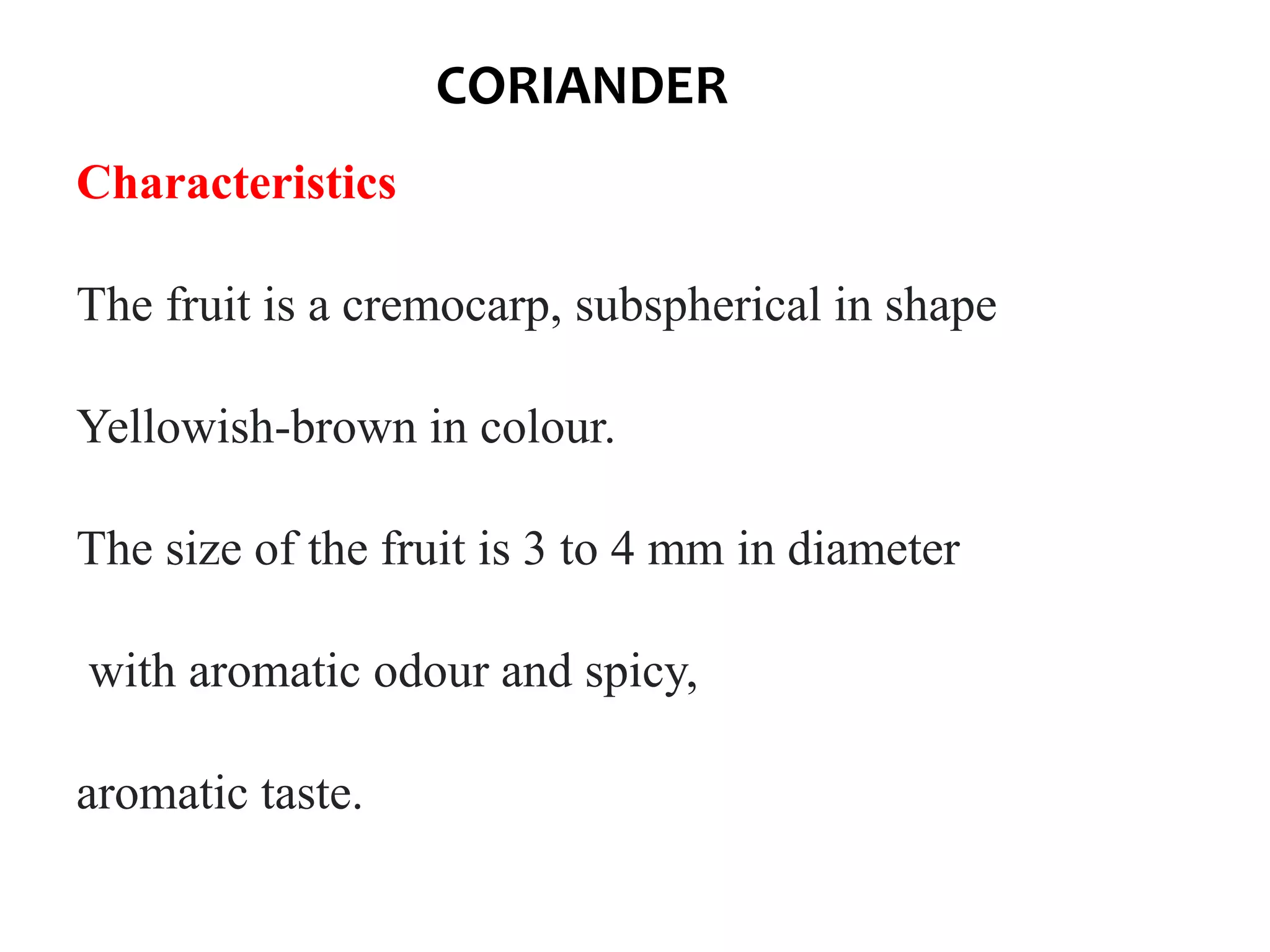 Coriandrum sativum new | PPTX
