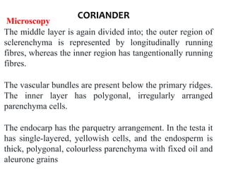 Coriandrum sativum new | PPTX