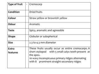 Coriandrum sativum new | PPTX